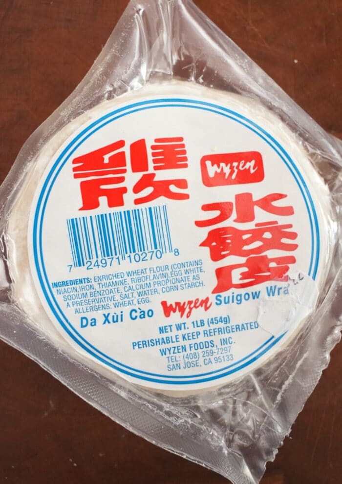 The BEST Vegetable Dumplings - Homemade! (VIDEO) - CJ Eats Recipes