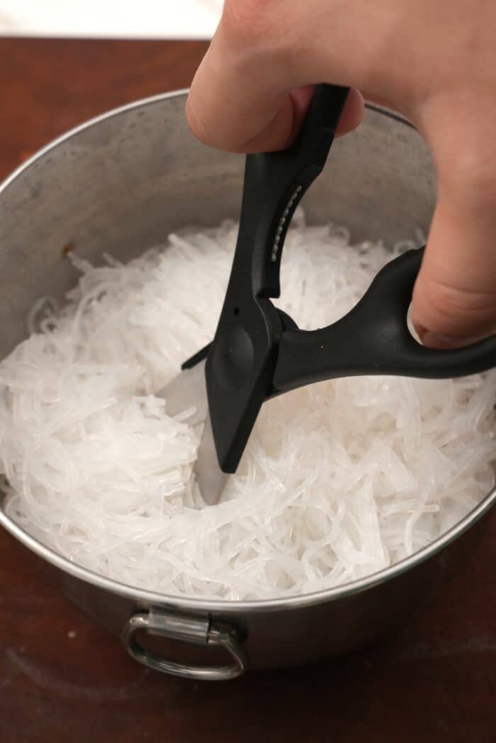 Homemade Chicken and Cilantro Wontons (VIDEO) - CJ Eats Recipes