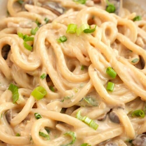 Creamy Mushroom Udon - CJ Eats Recipes