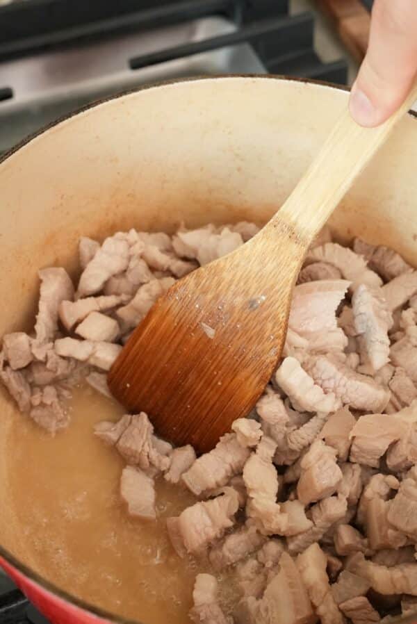 Lu Rou Fan (Taiwanese Braised Pork Rice) - EASY! - CJ Eats Recipes