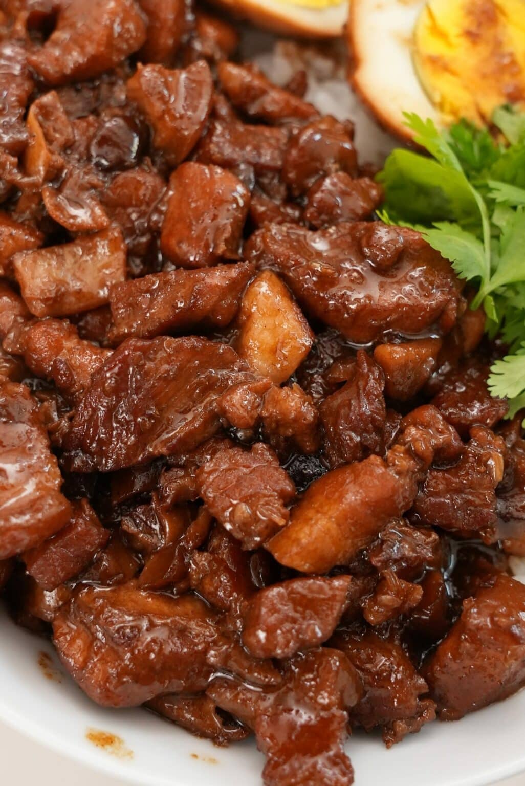 Lu Rou Fan (Taiwanese Braised Pork Rice) - EASY! - CJ Eats Recipes